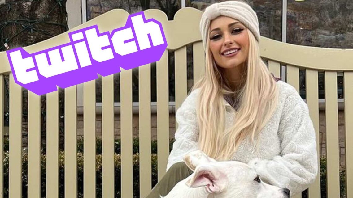Dandangler Suspended From Twitch Following Bikini Controversy